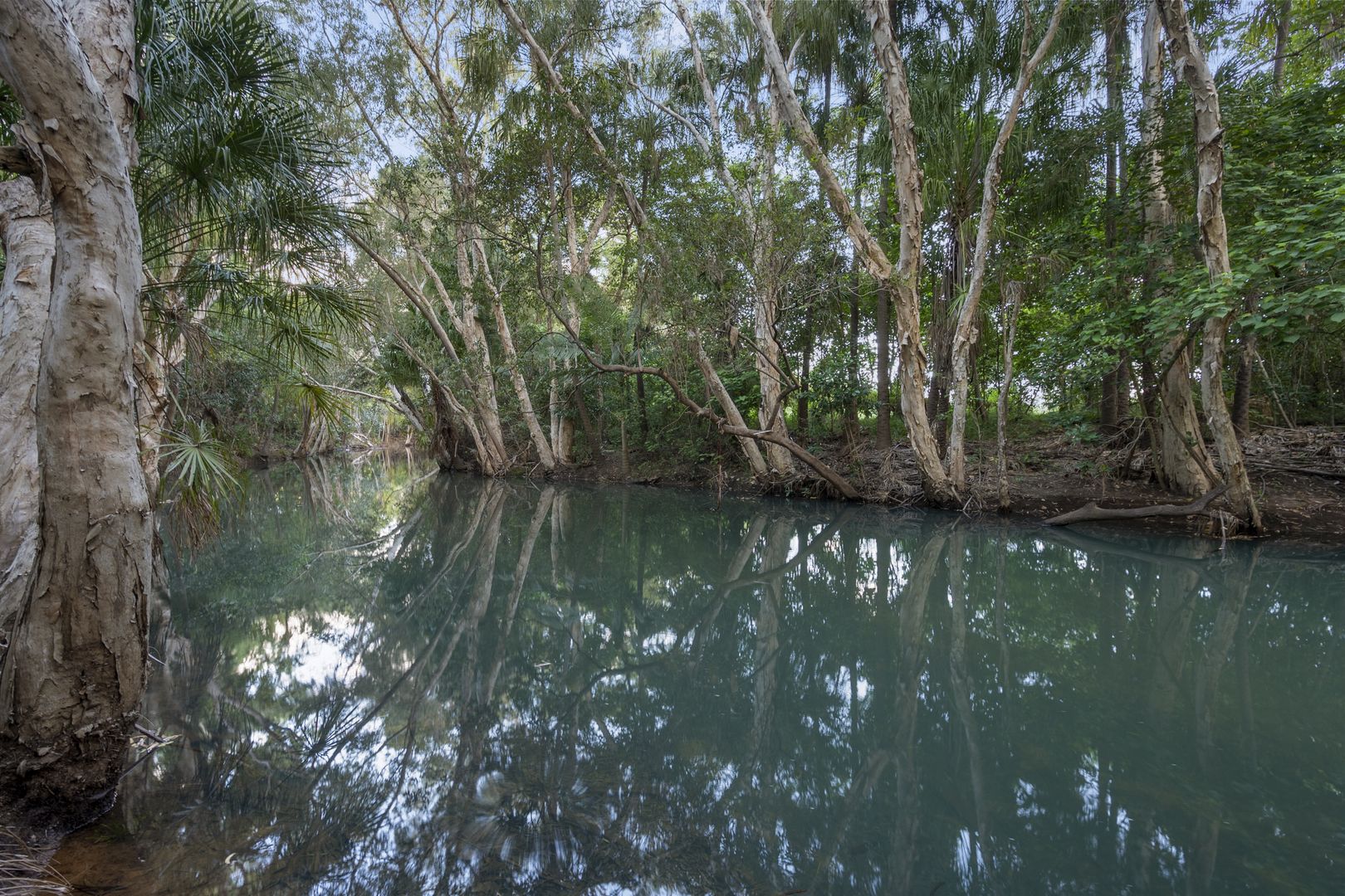 954 Woodstock Giru Road, Mount Surround QLD 4809 | Domain