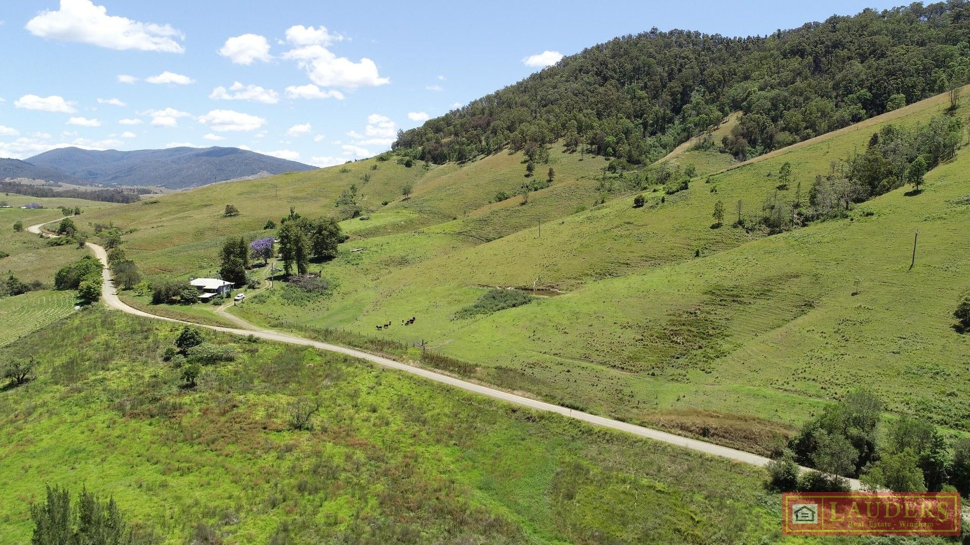 4252 Nowendoc Road, Number One NSW 2424 - House for Sale | Domain