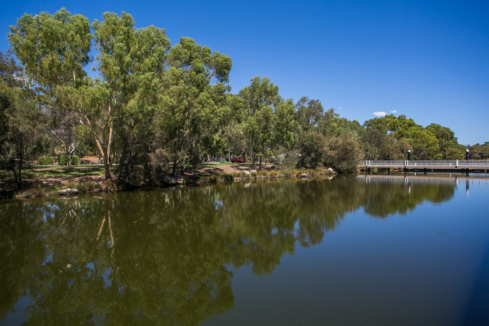 14/2 Marina Drive, Ascot WA 6104 | Domain