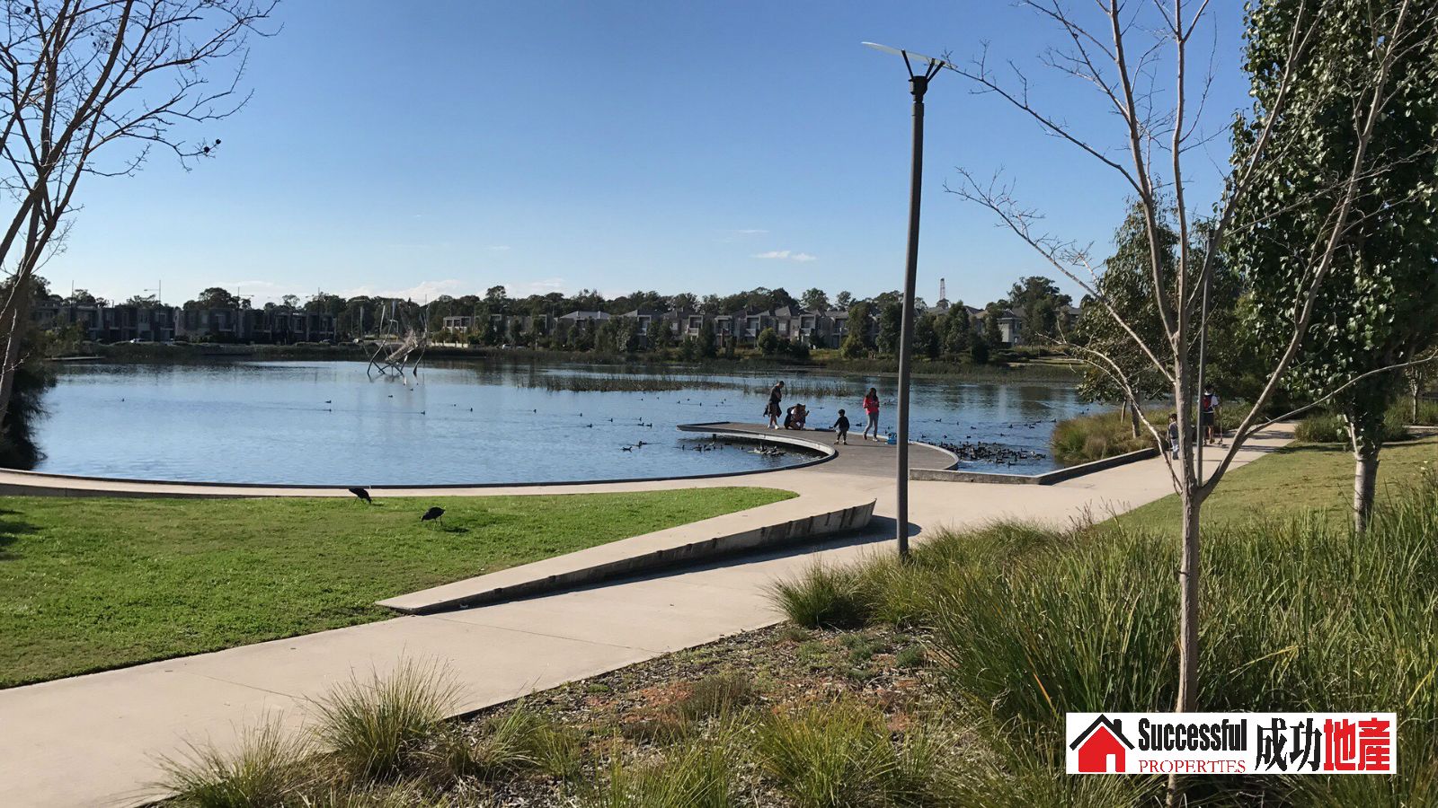 11 Furber Street, The Ponds NSW 2769 - House For Rent | Domain