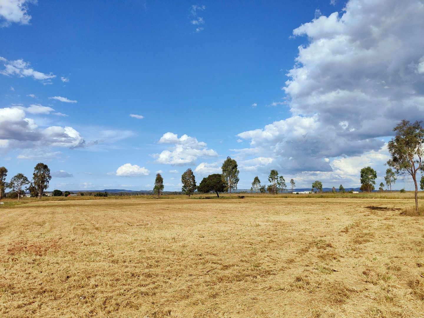 Lot 5 Mondure Wheatlands Road, Mondure | Property History & Address ...