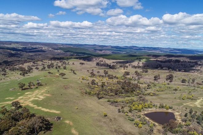 172 Real Estate Properties for Sale in Neville, NSW, 2799 | Domain