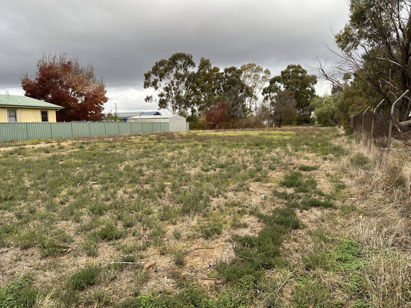 110 Coreen Street, Jerilderie NSW 2716 | Domain