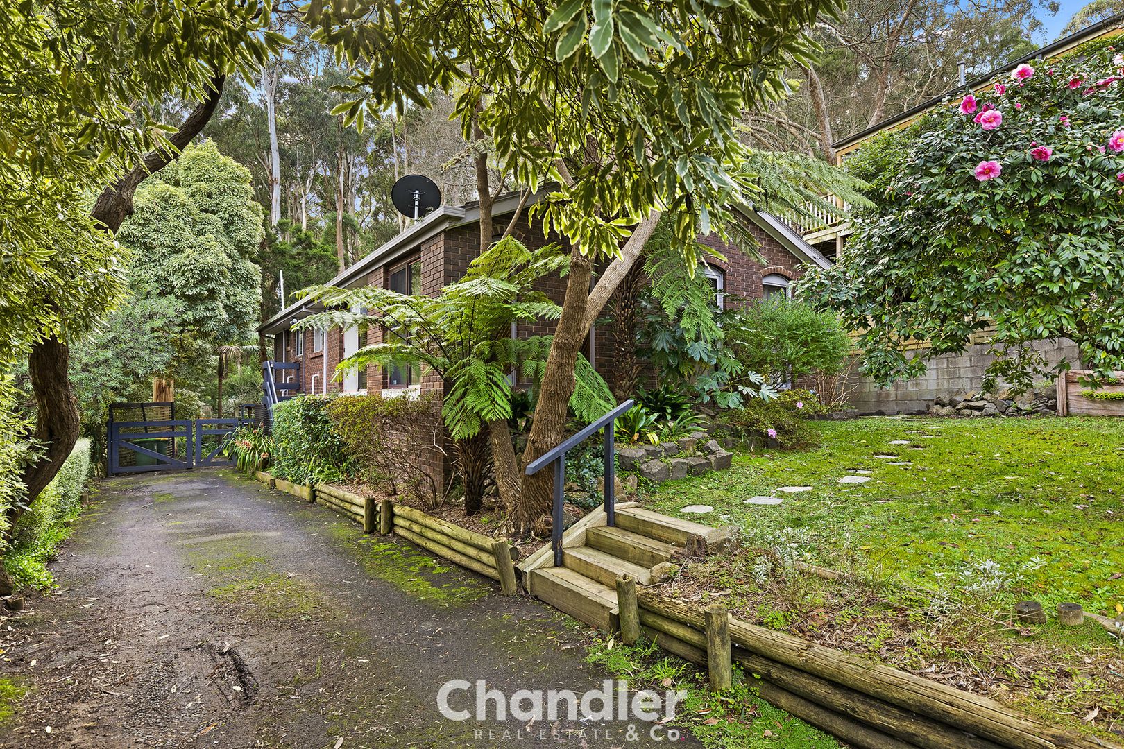 79 Mast Gully Road, Upwey VIC 3158 | Domain