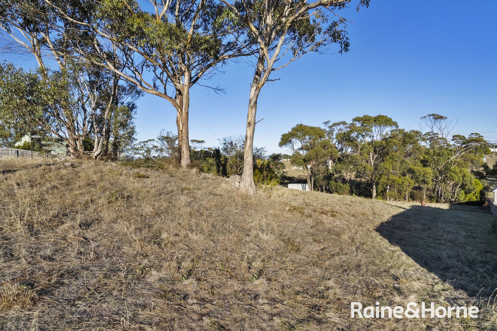 29 Bay Street, Dunalley TAS 7177 | Domain