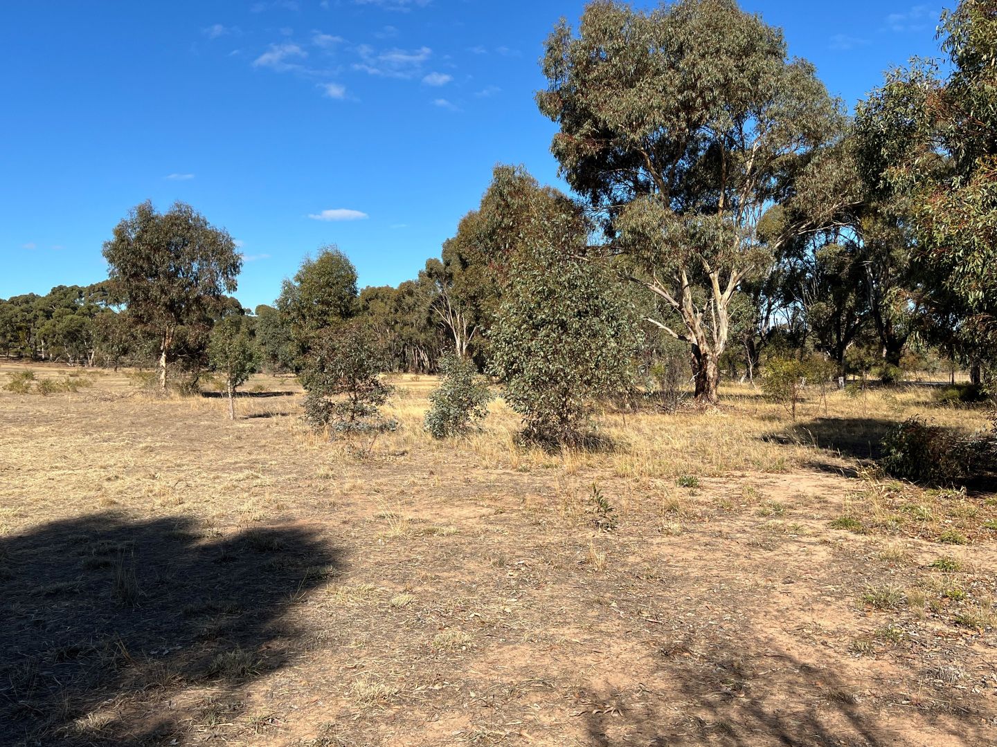 41 Calder Highway, Wedderburn VIC 3518 - Vacant Land for Sale - $210,000