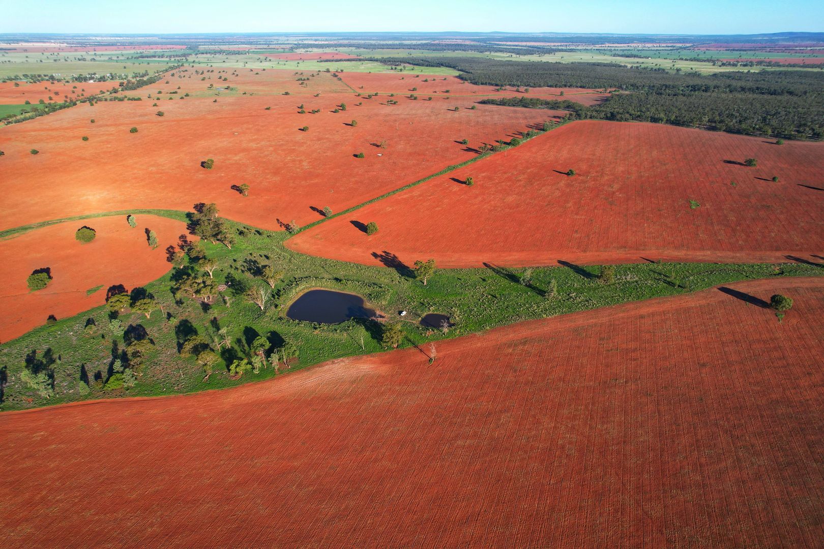 981 Myamley Road, Tottenham NSW 2873 - Specialist Farm for Sale