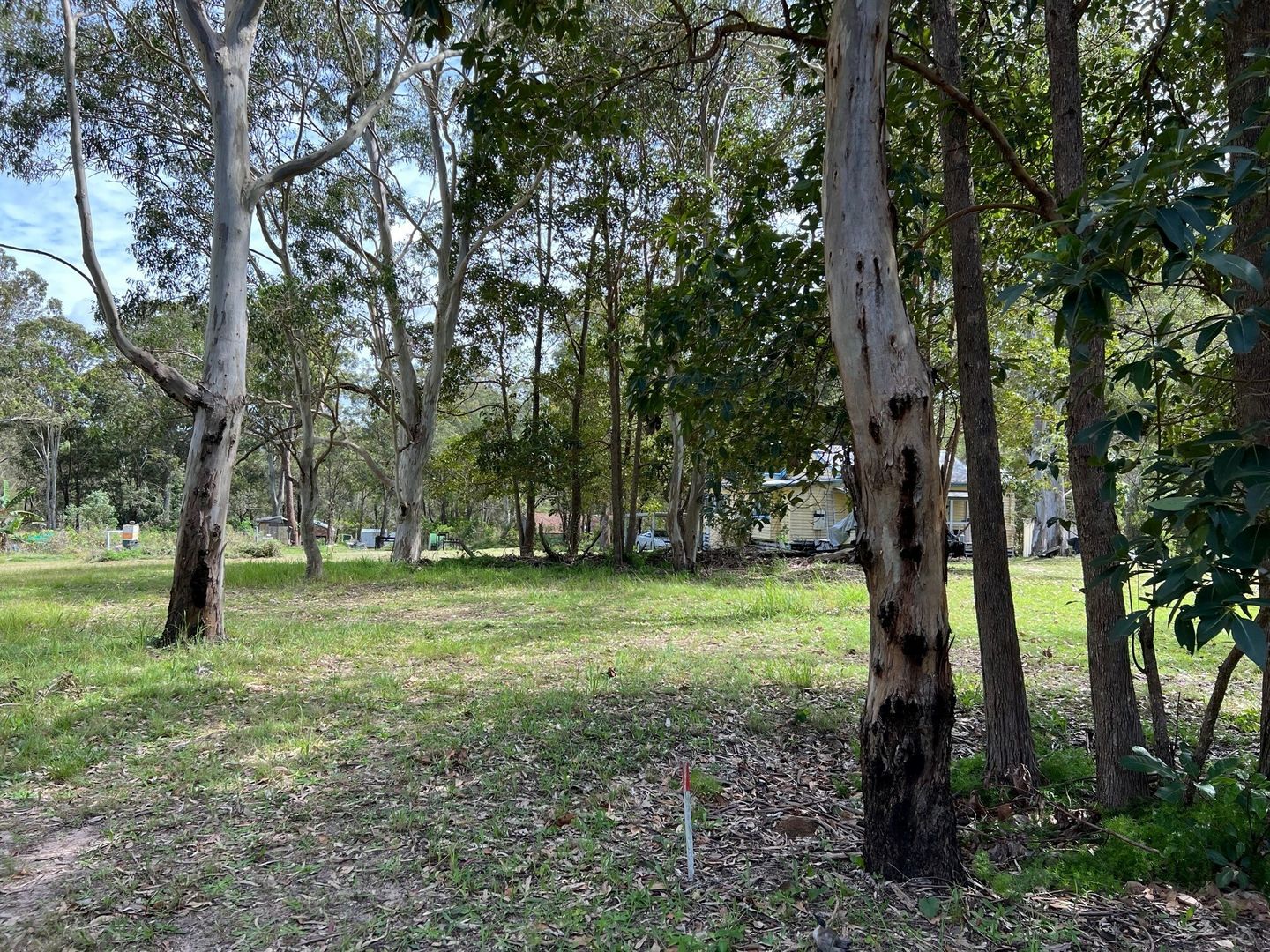 43 Cassandra Ave, Russell Island QLD 4184 | Domain