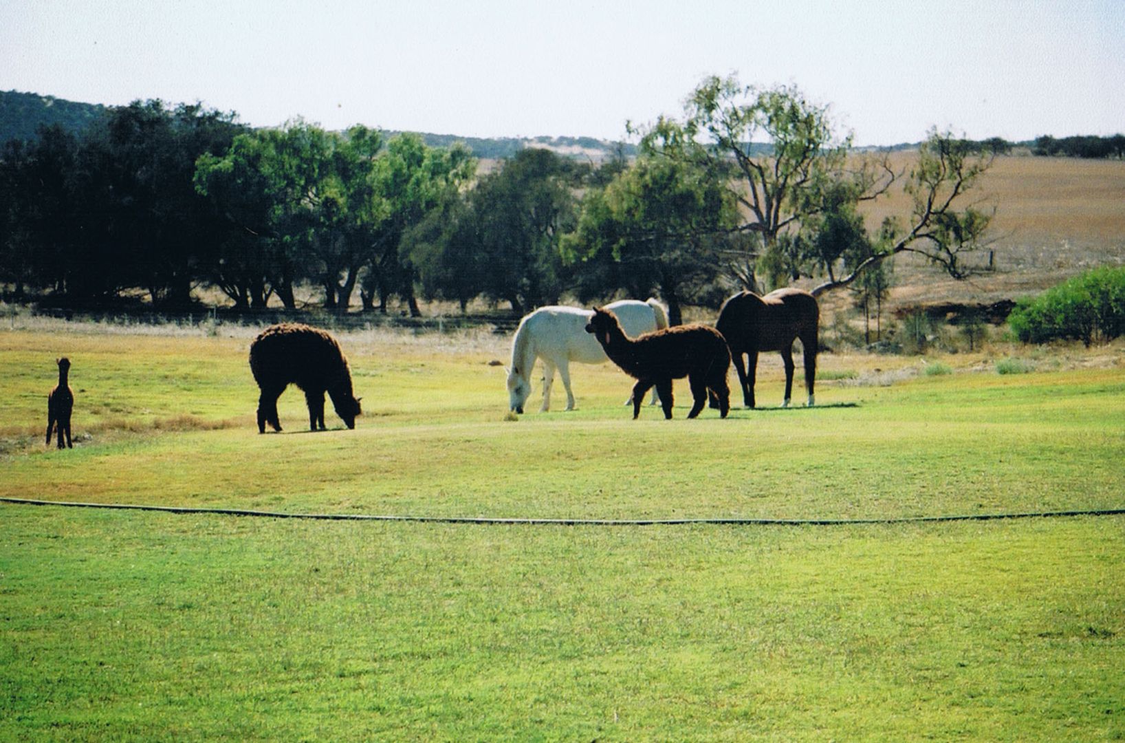 5800 North West Coastal Highway, Alm | Property History & Address ...