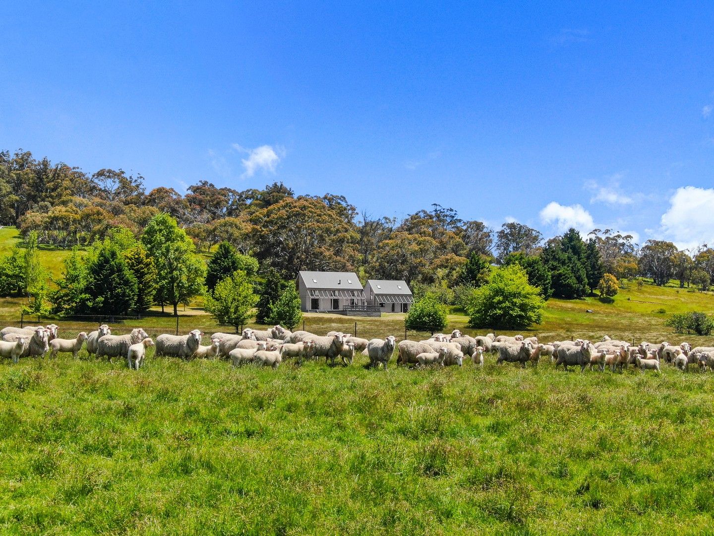 Mansfields, Anglers Reach NSW 2629 - House for Sale | Domain