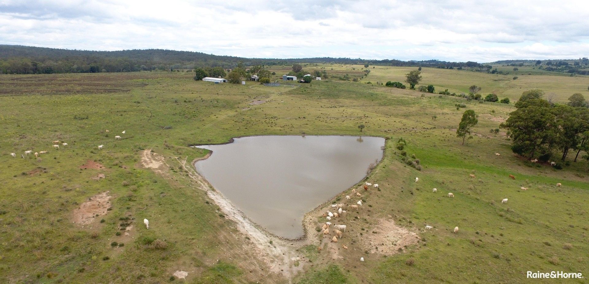 Tingoora QLD 4608 - Specialist Farm for Sale - $1,600,000 | Domain