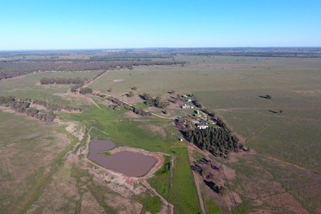 304 Real Estate Properties for Sale in Trundle, NSW, 2875 | Domain