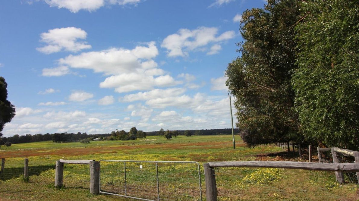 205 Ravenscliffe Road, Kiru | Property History & Address Research | Domain