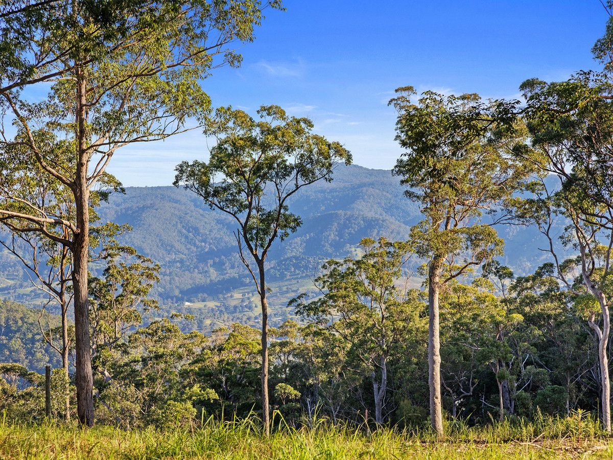 Mapleton QLD 4560 - House for Sale | Domain