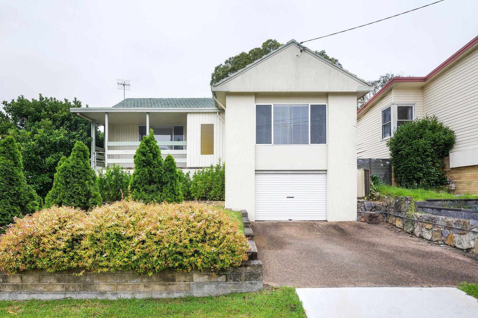 9 Carolyn Street, Adamstown Heights NSW 2289 - House For Rent | Domain