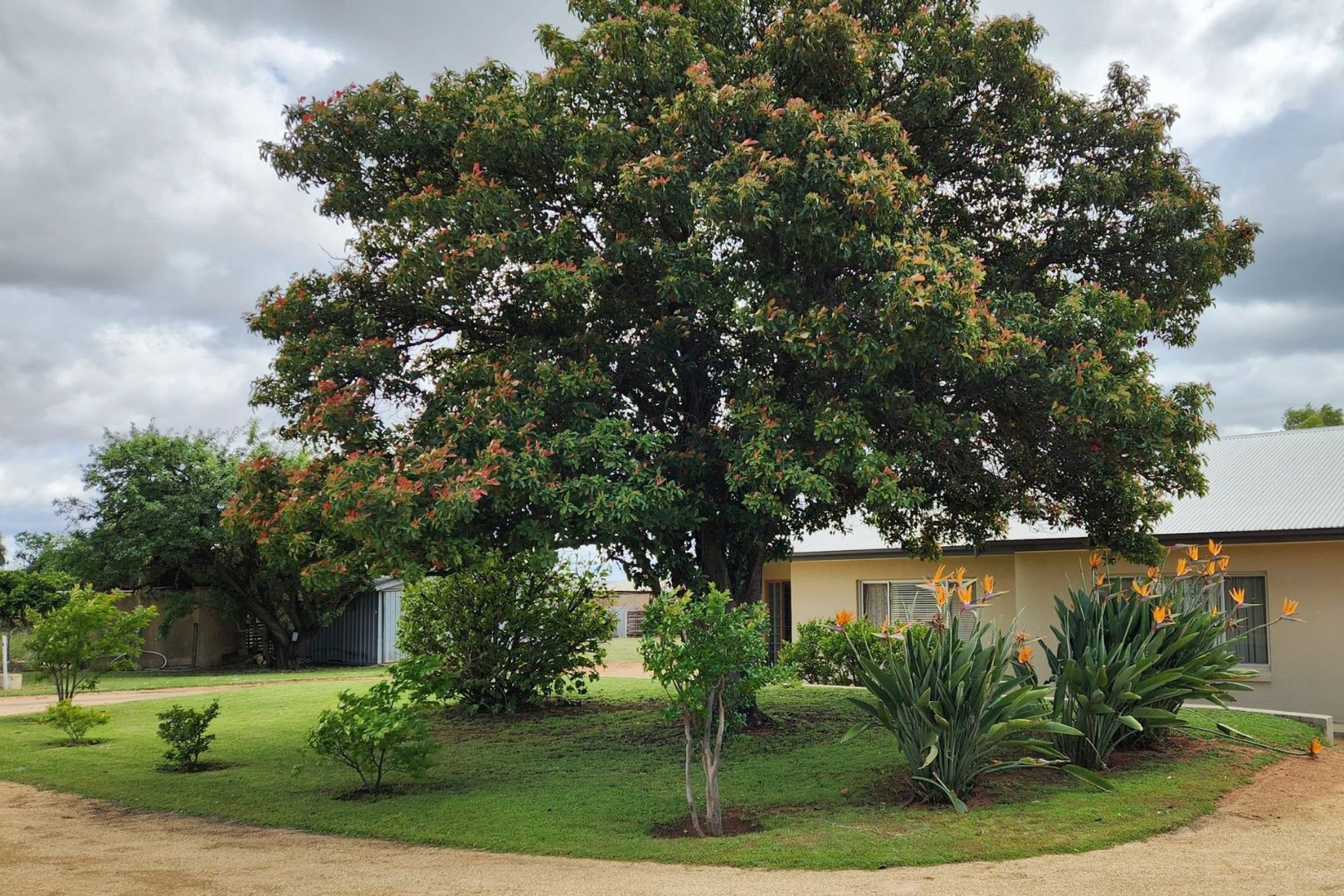 130 Old Cooltong Road, Renmark SA 5341 | Domain