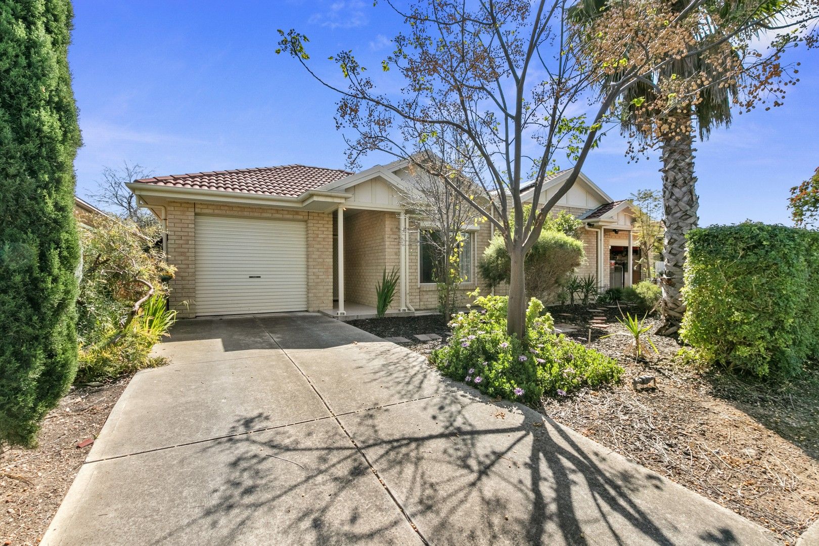 49 & 51 Nunyah Avenue, Park Holme SA 5043 | Domain