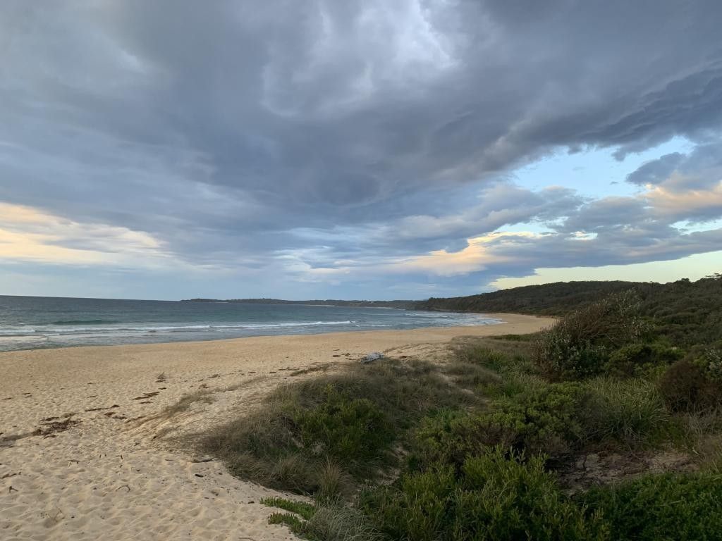 1 Dampier Street, Congo NSW 2537 | Domain