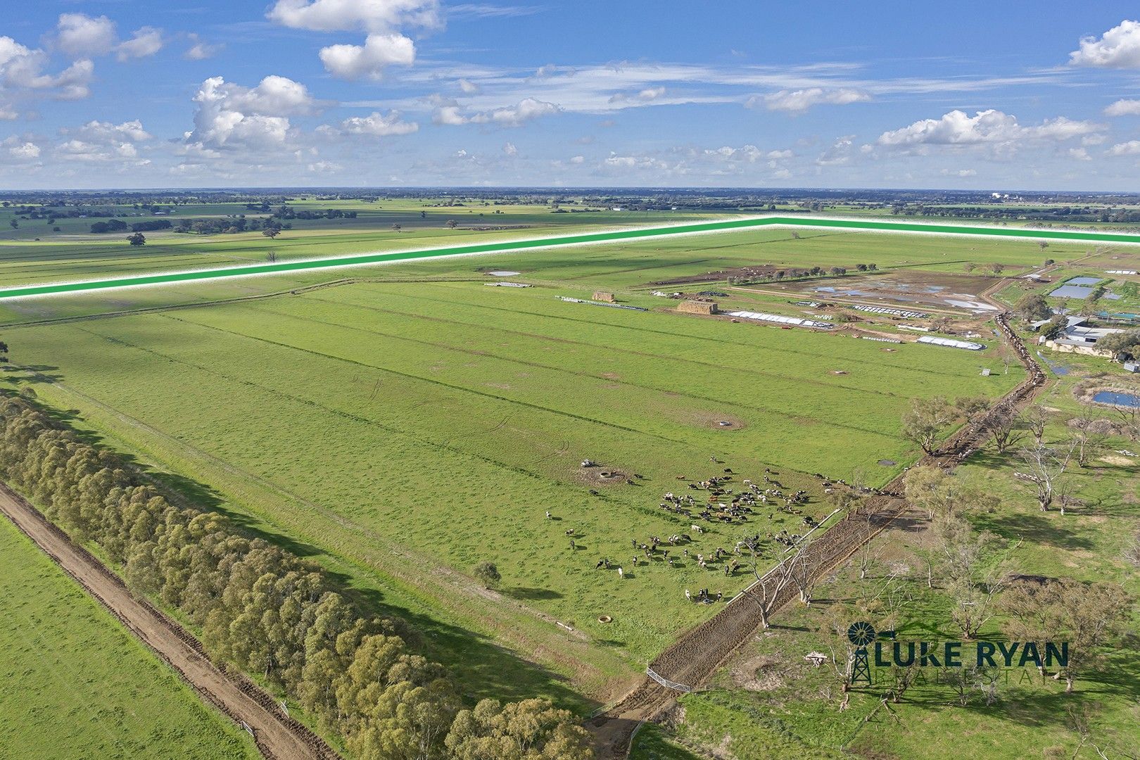 390 Dingee Road, Rochester VIC 3561 - Specialist Farm for Sale - $4,600,000