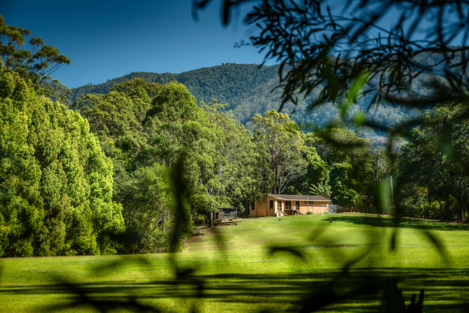 138 Promised Land Road, Bellingen NSW 2454 | Domain