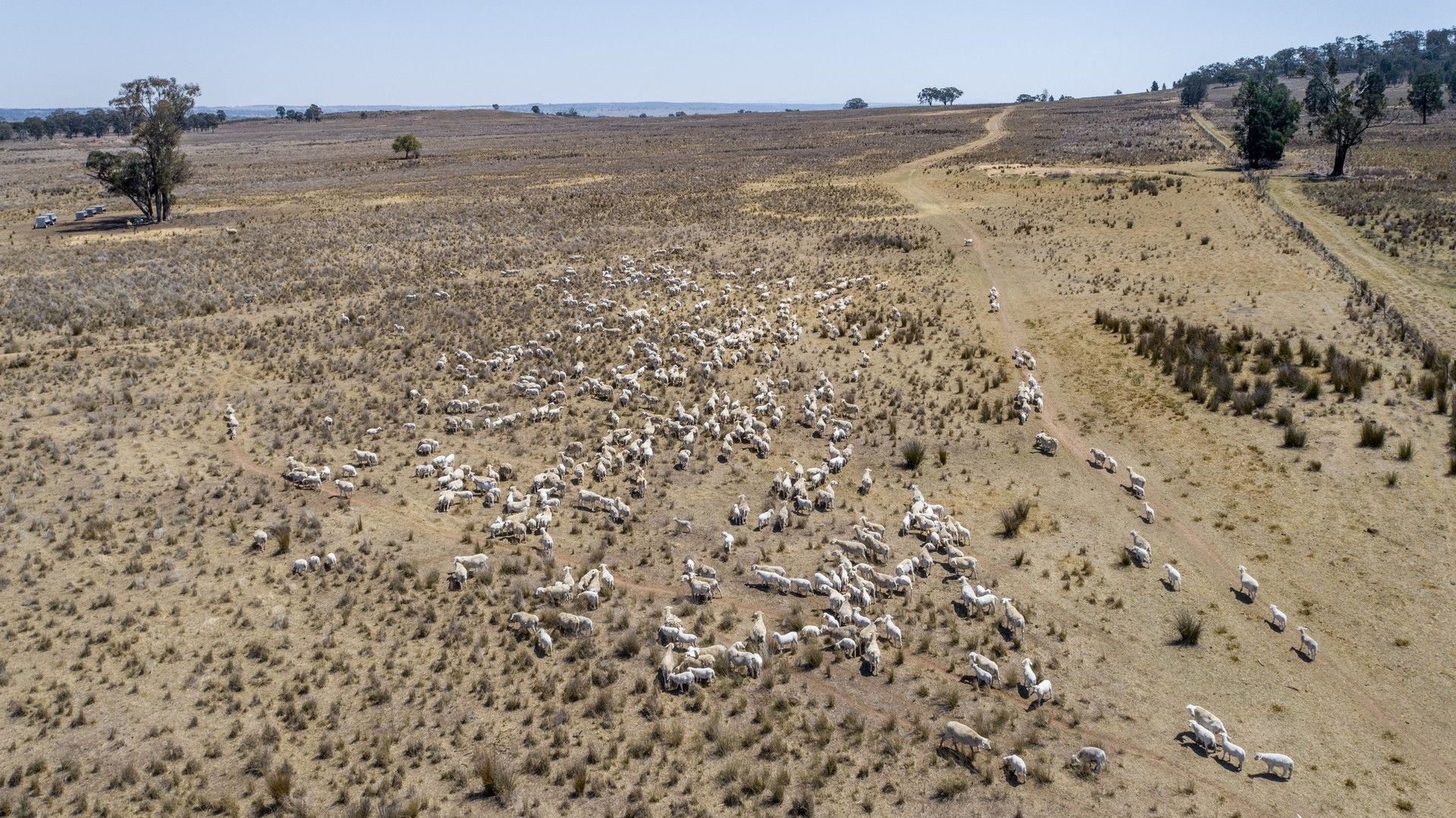 657 Forans Lane, Neilrex NSW 2831 - Farm for Sale | Domain