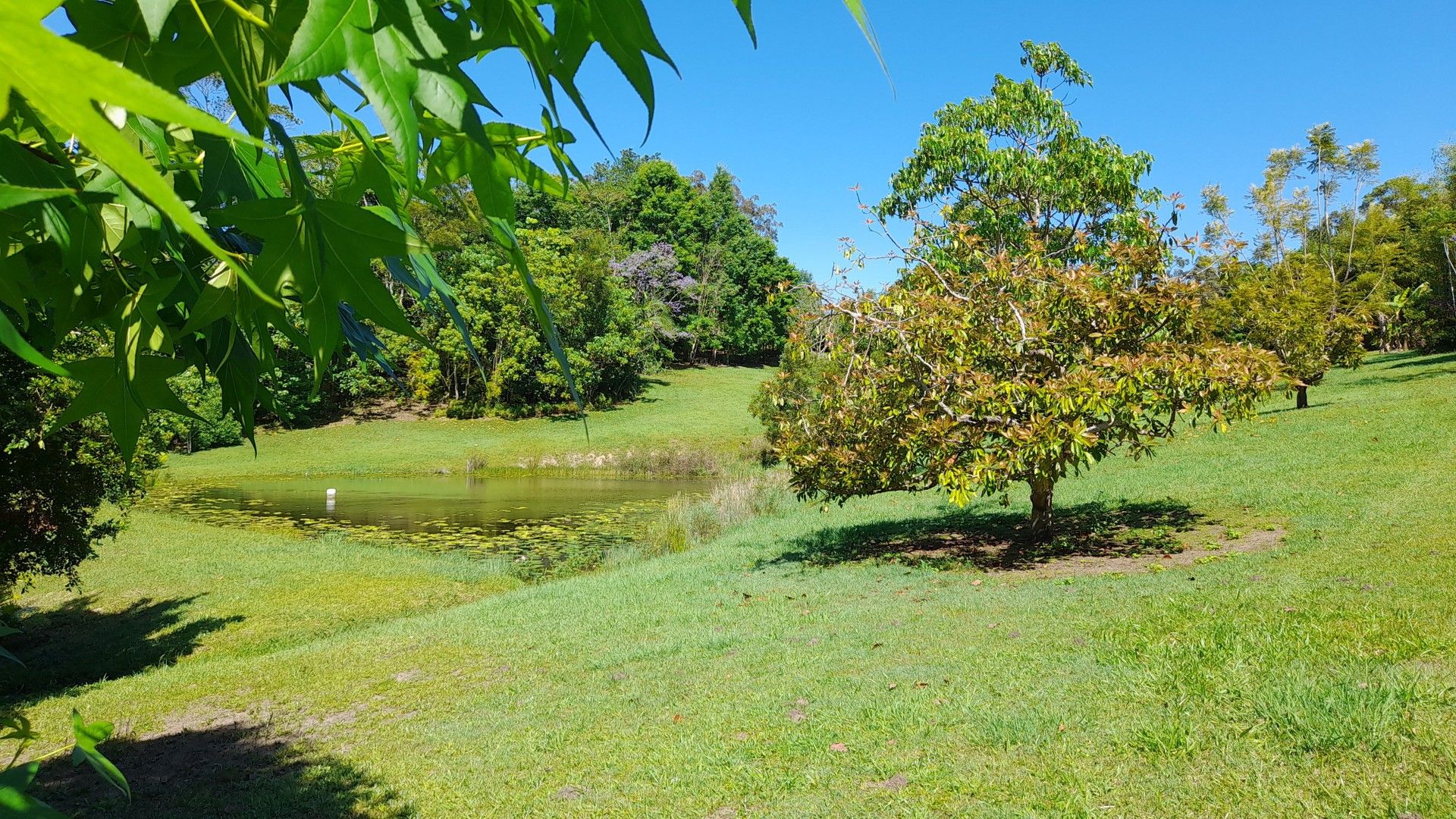 84A BOTANICA CIRCUIT, Doonan QLD 4562 | Domain