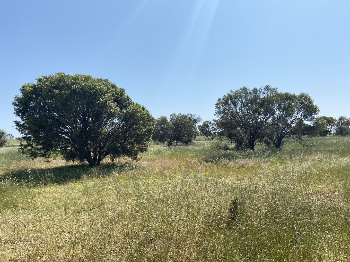 94 Mitchell St, Meckering WA 6405 - Vacant Land for Sale - $110,000