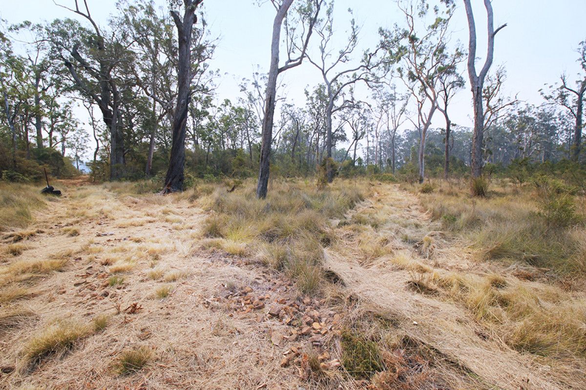 257 Red Root Road, Pillar Valley | Property History & Address Research ...