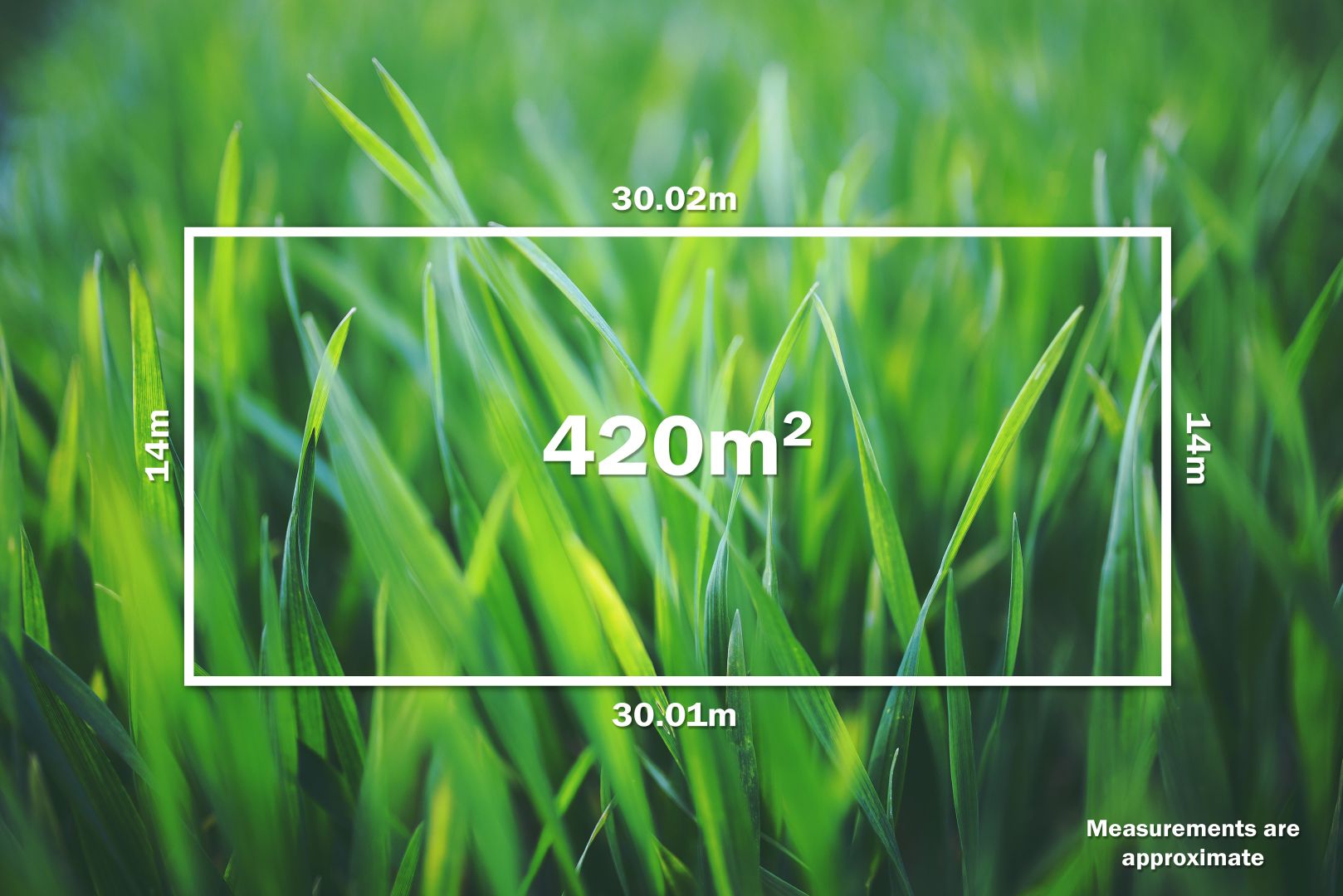 23A Ti-Tree Drive, Doveton | Property History & Address Research | Domain