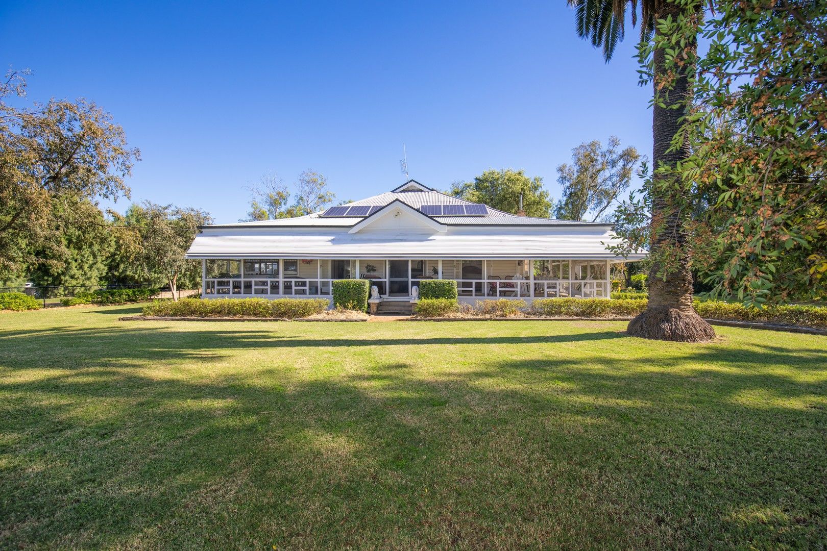 "Ningle" 19227 Newell Highway, Moree NSW 2400 - Farm for Sale