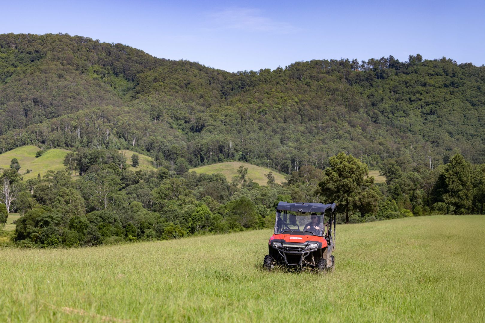 770 Mooral Creek Road, Strathcedar NSW 2429 - House for Sale | Domain