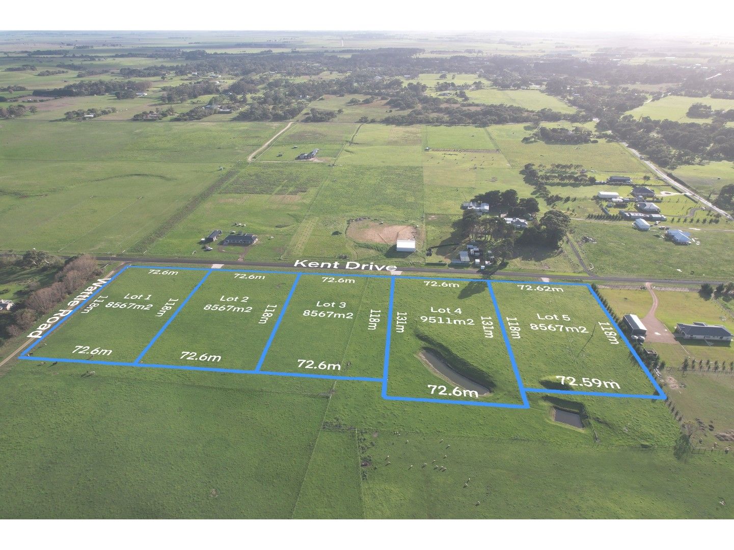 5 Kent Drive, Millicent SA 5280 | Domain