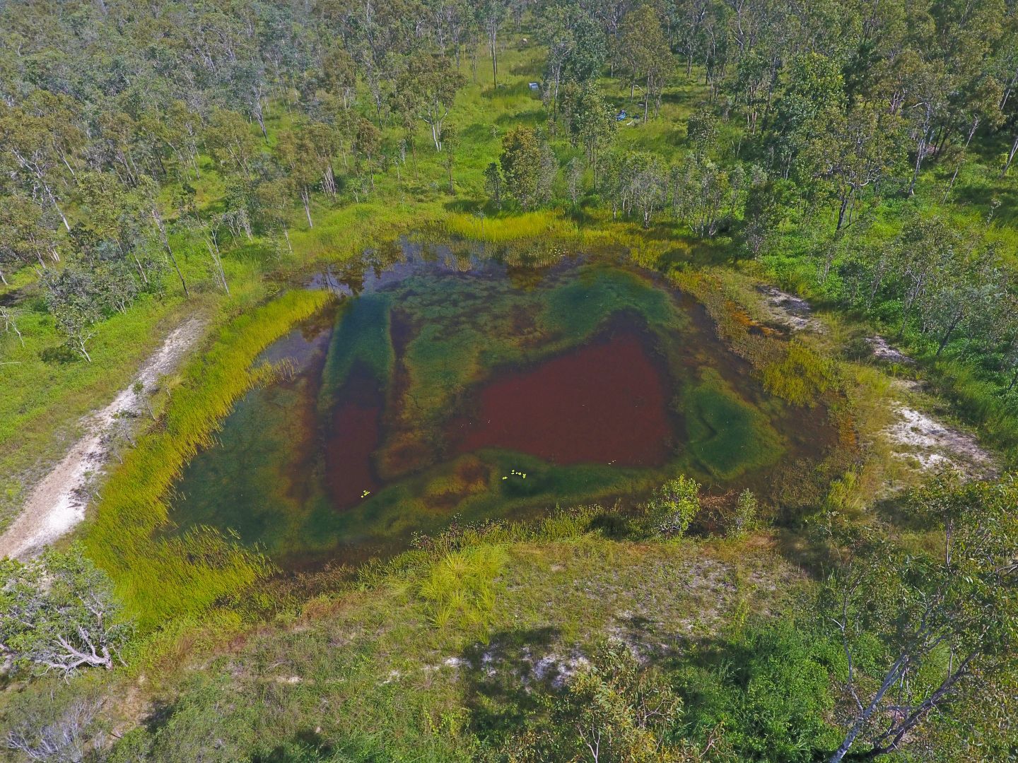 36 Bakers Road, Mount Molloy QLD 4871 | Domain