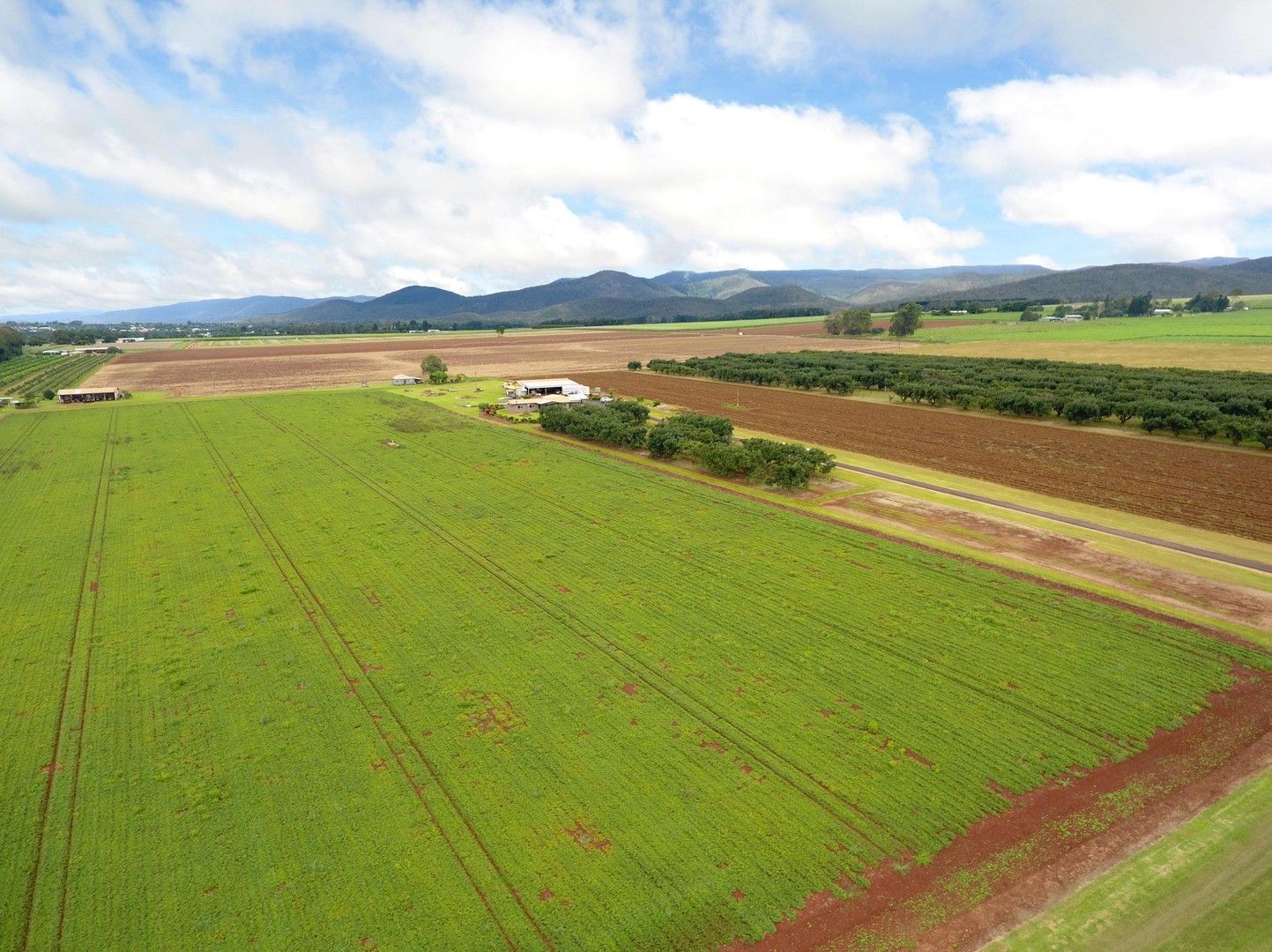 Tolga QLD 4882 - House for Sale | Domain