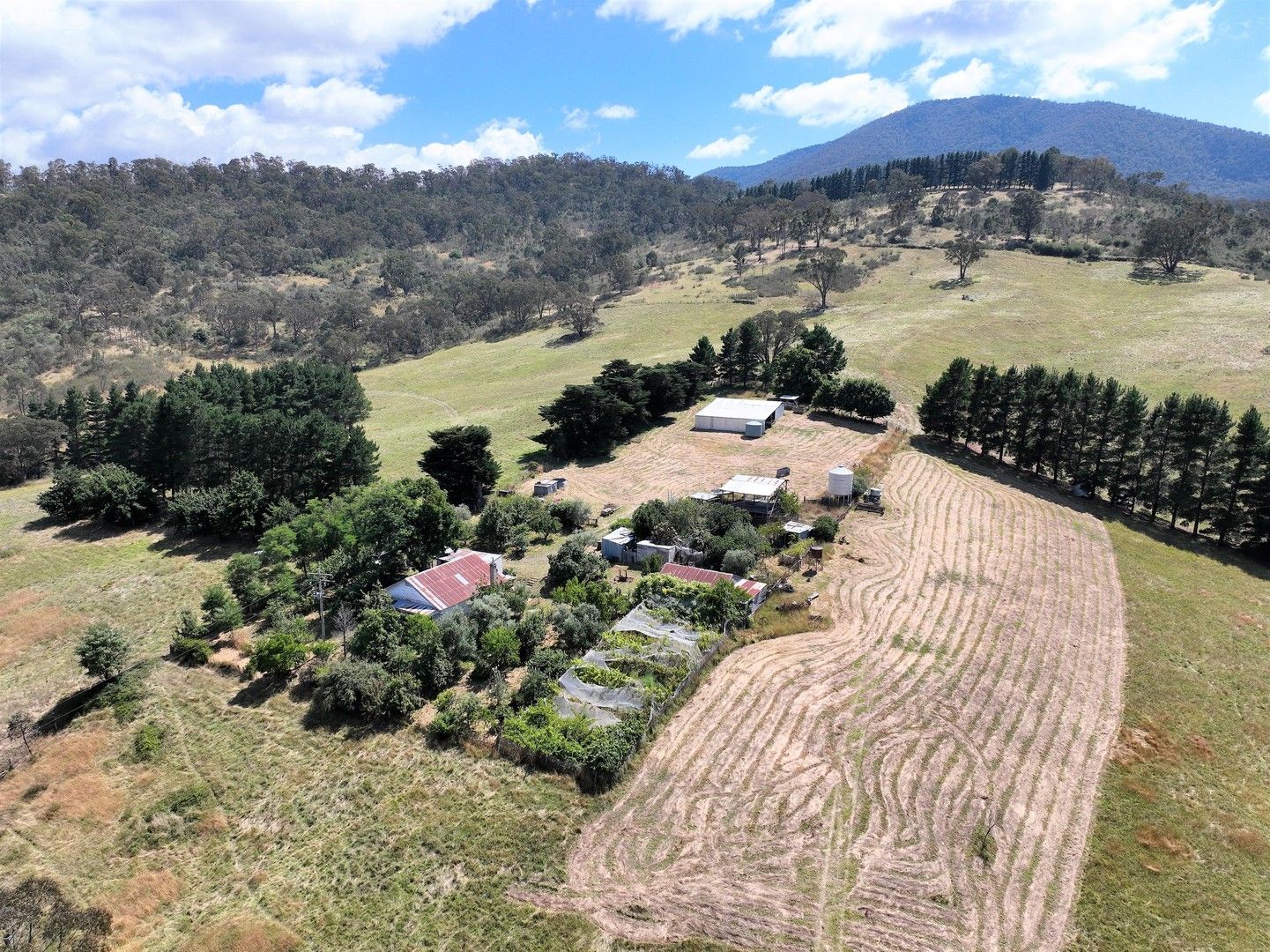 3108 McKillops Road, Tubbut VIC 3888 - House for Sale - $1,100,000