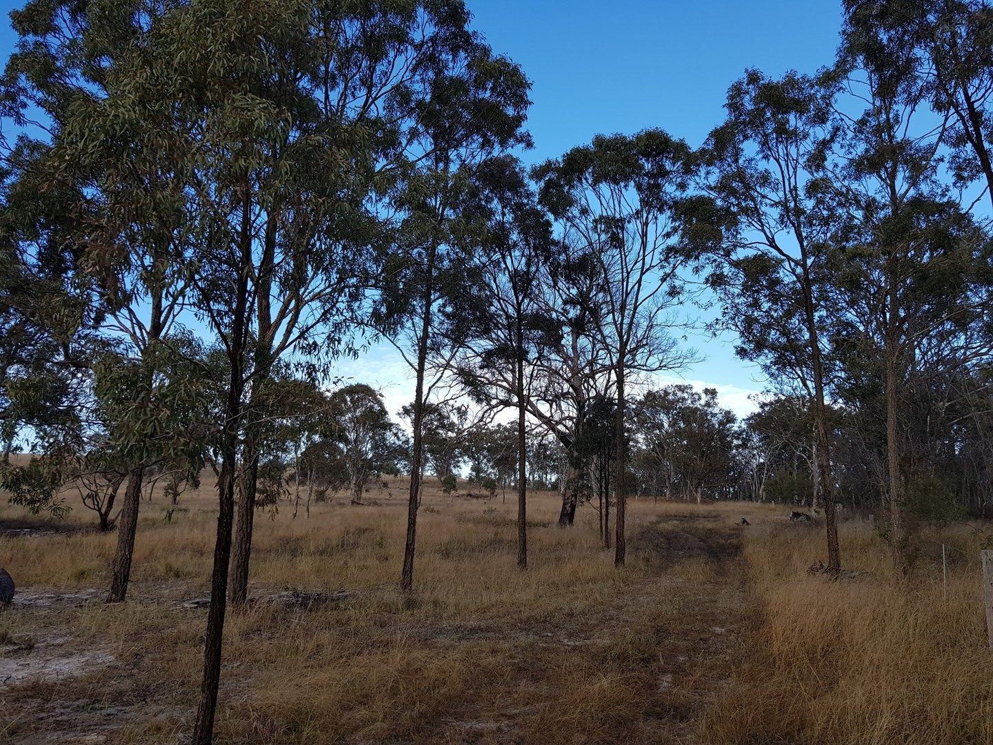 2247 Old Stanthorpe Road, Cherry Gully | Property History & Address ...