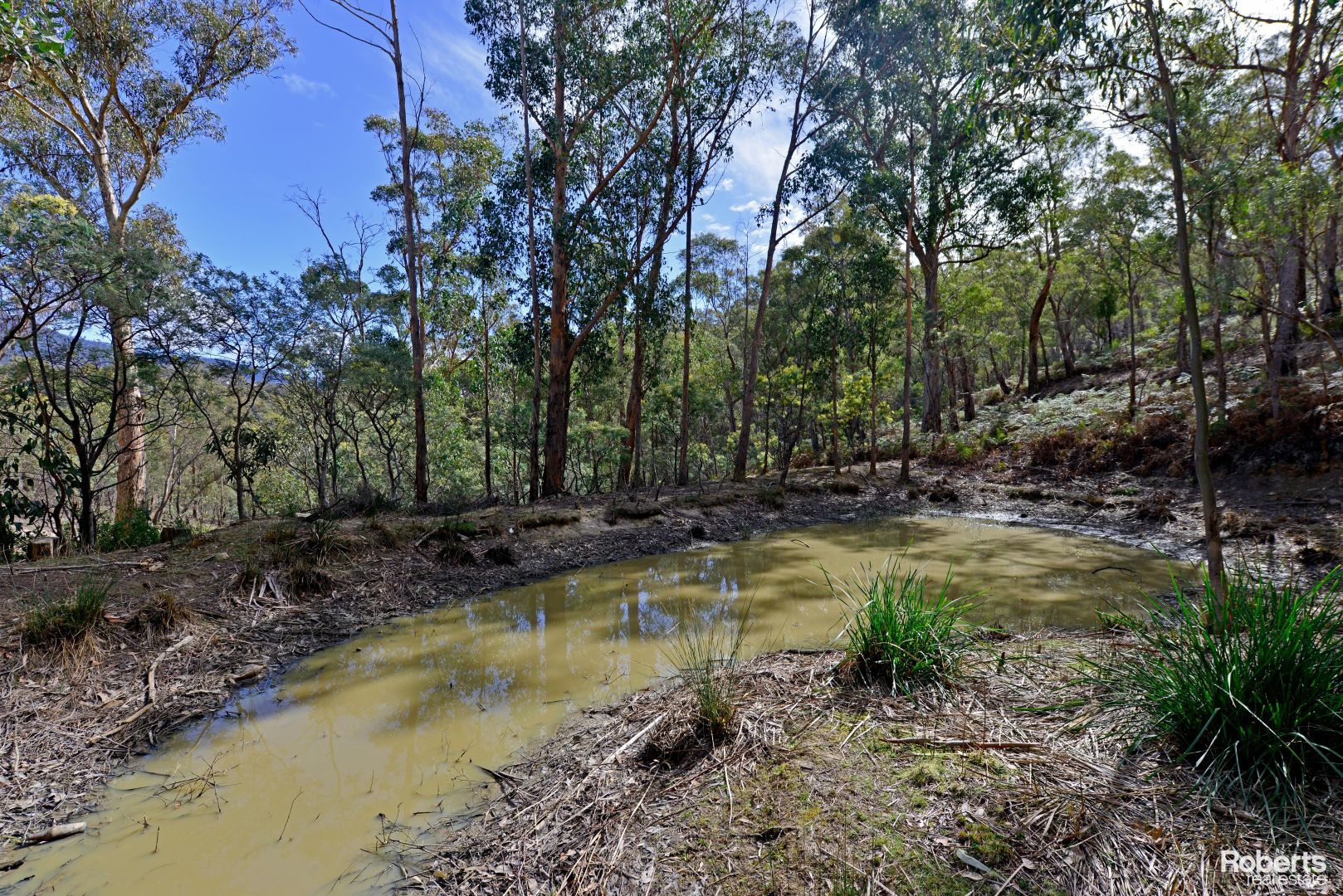 11 Gleeson Road, Dromedary TAS 7030 | Domain