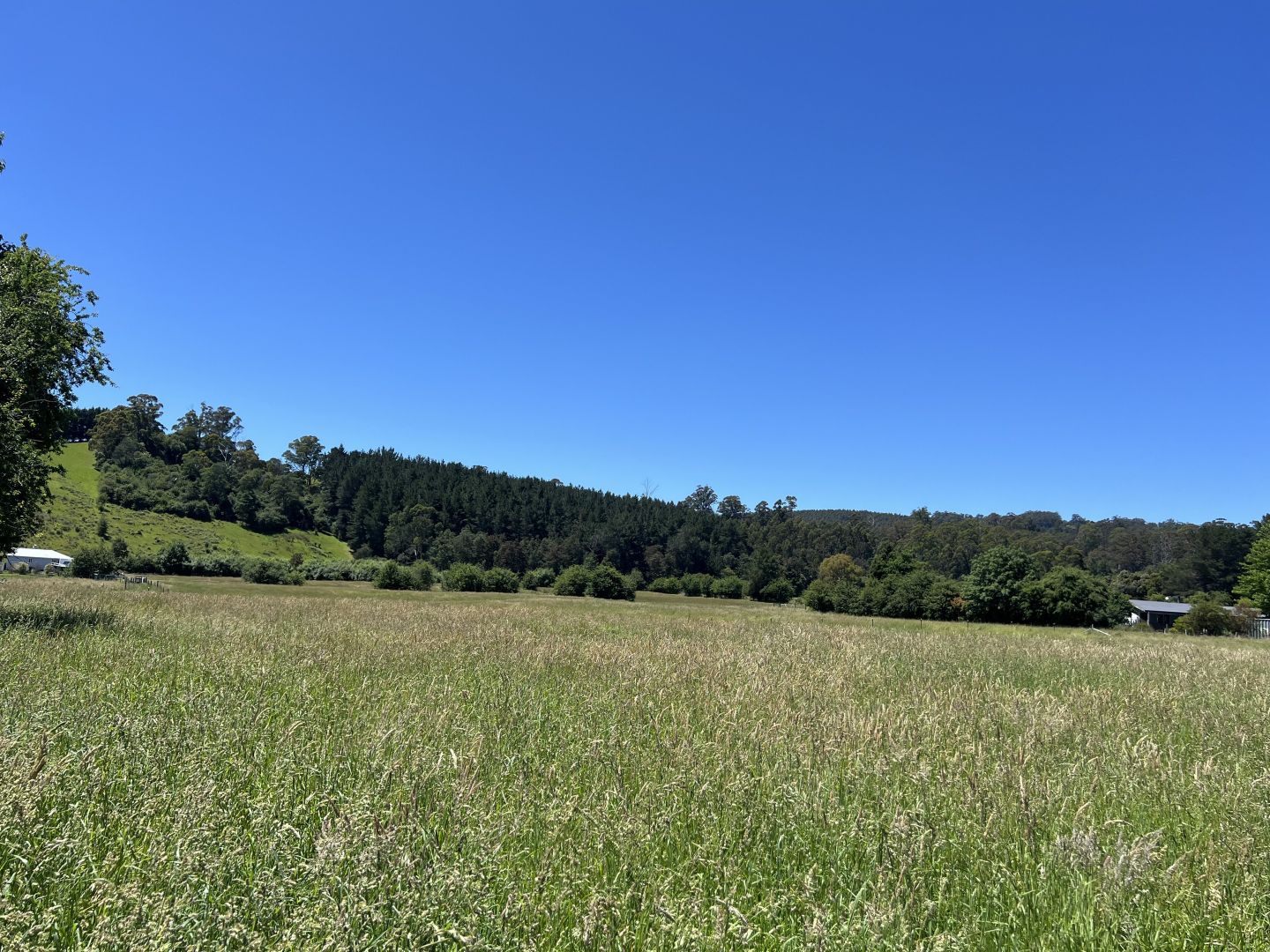 79 Doaks Road, Lilydale TAS 7268 | Domain