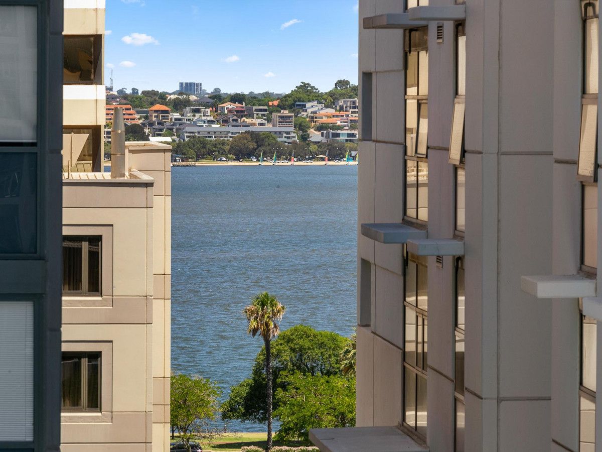 91/143 Adelaide Terrace, East Perth WA 6004 - Apartment For Rent - $800 ...