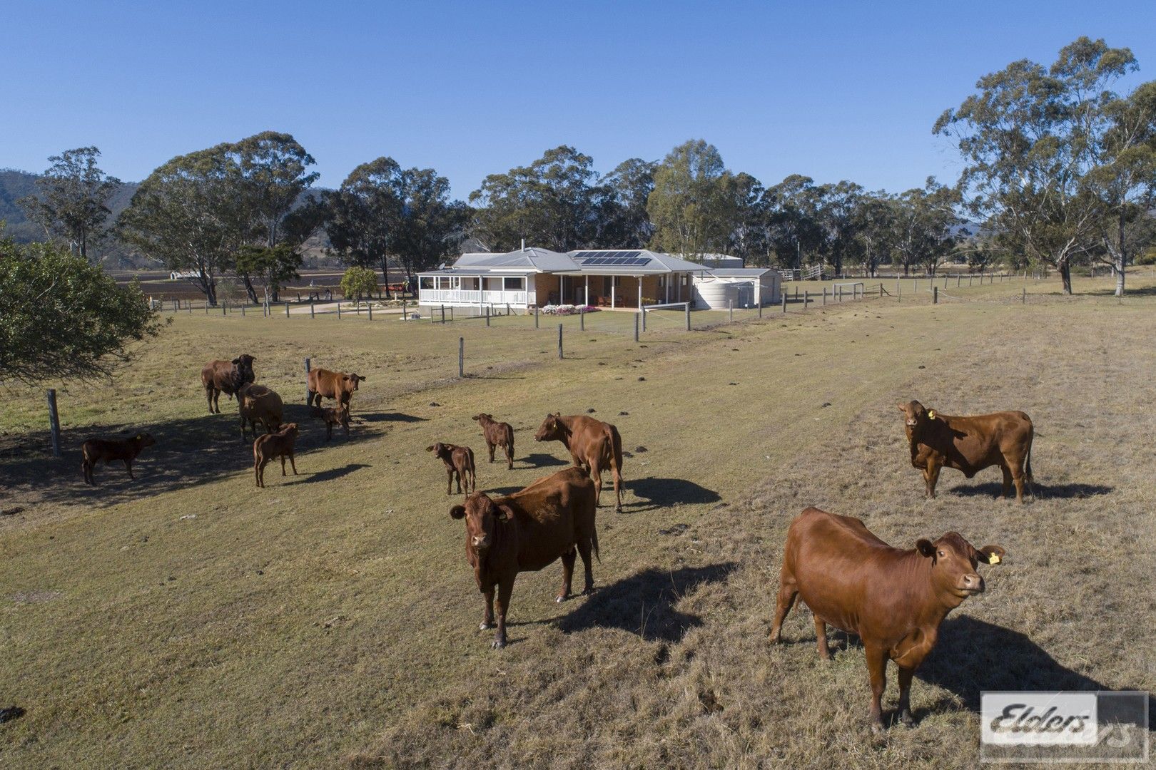 4 Dippel Road, Thornton QLD 4341 - House for Sale | Domain