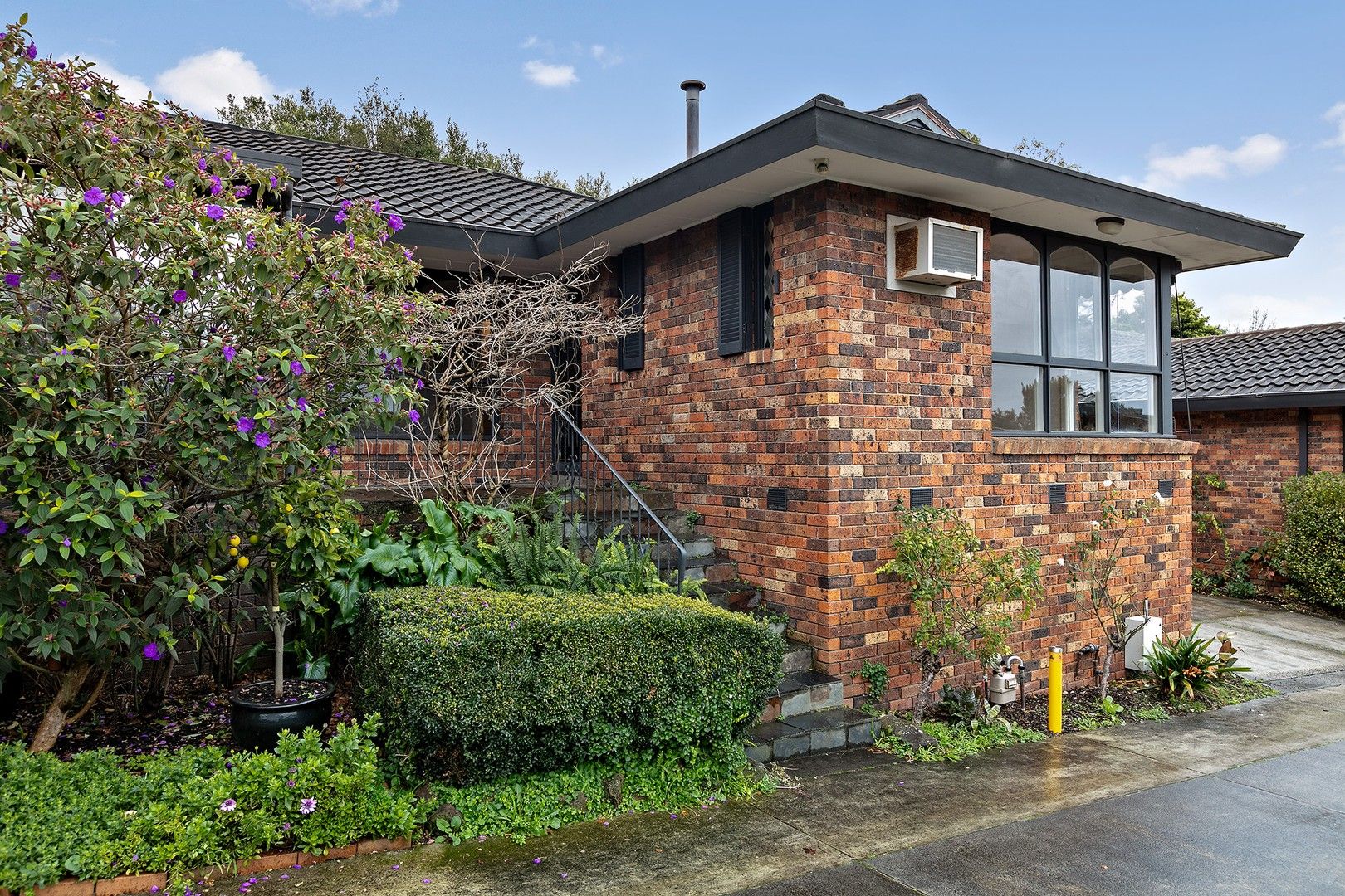 3/12 Hotham Street, Mont Albert VIC 3127 - Block Of Units For Rent | Domain