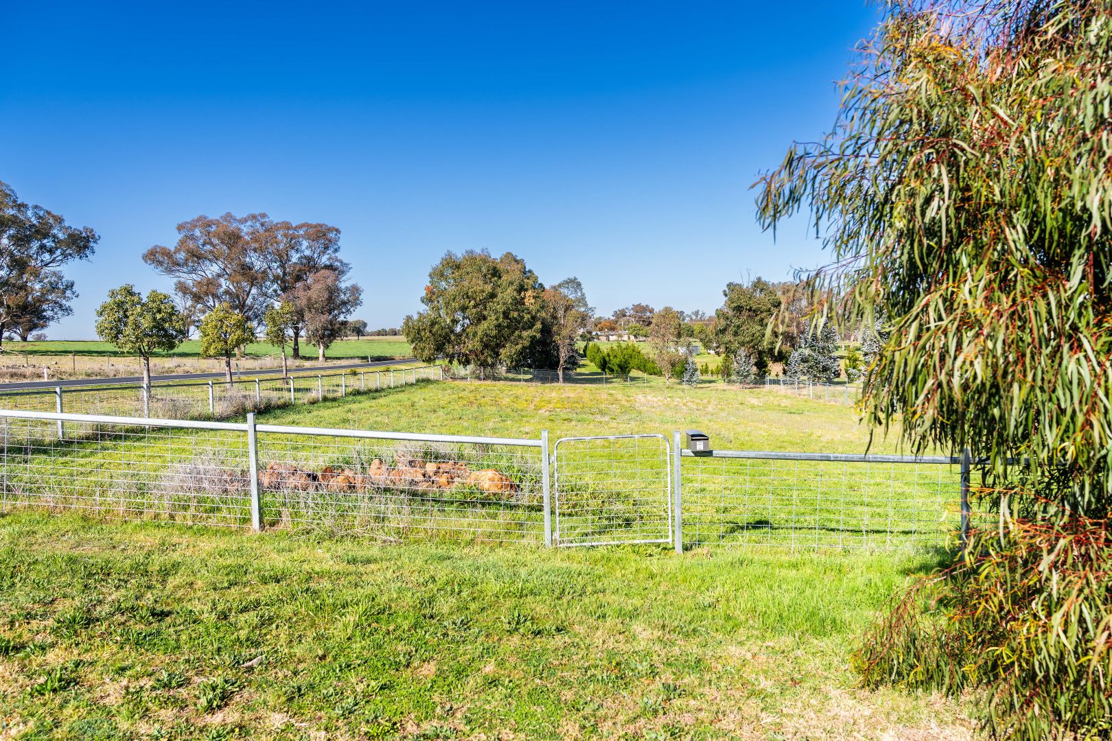 6 South Street, Cudal NSW 2864 | Domain