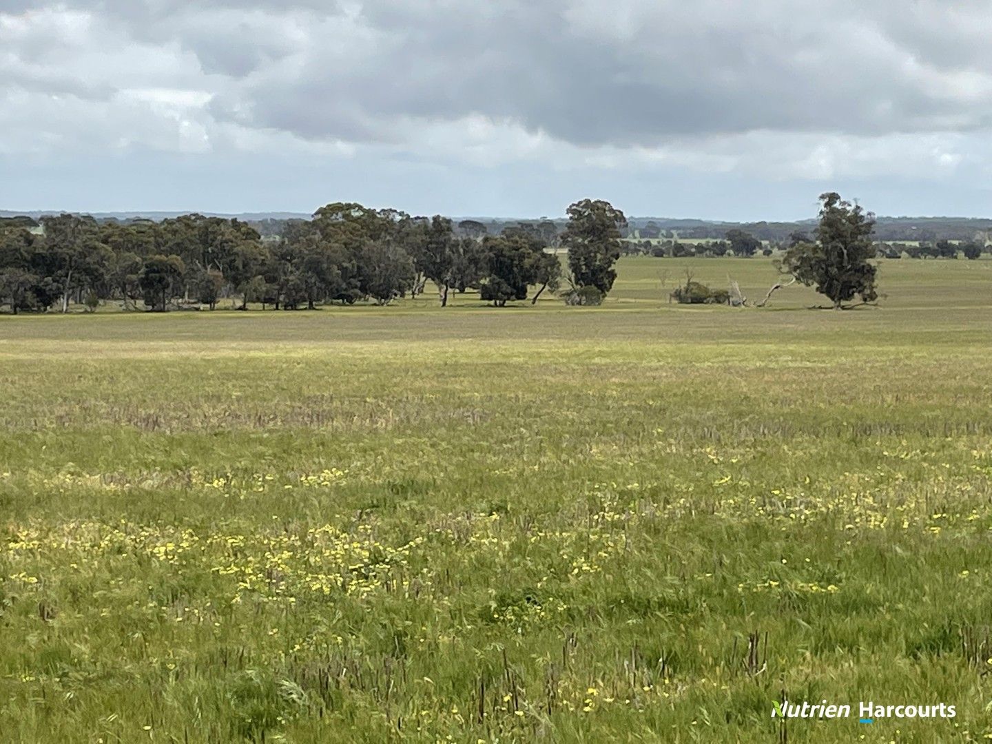 223 Lock Road, Narrogin WA 6312 - Specialist Farm for Sale - $6,200,000