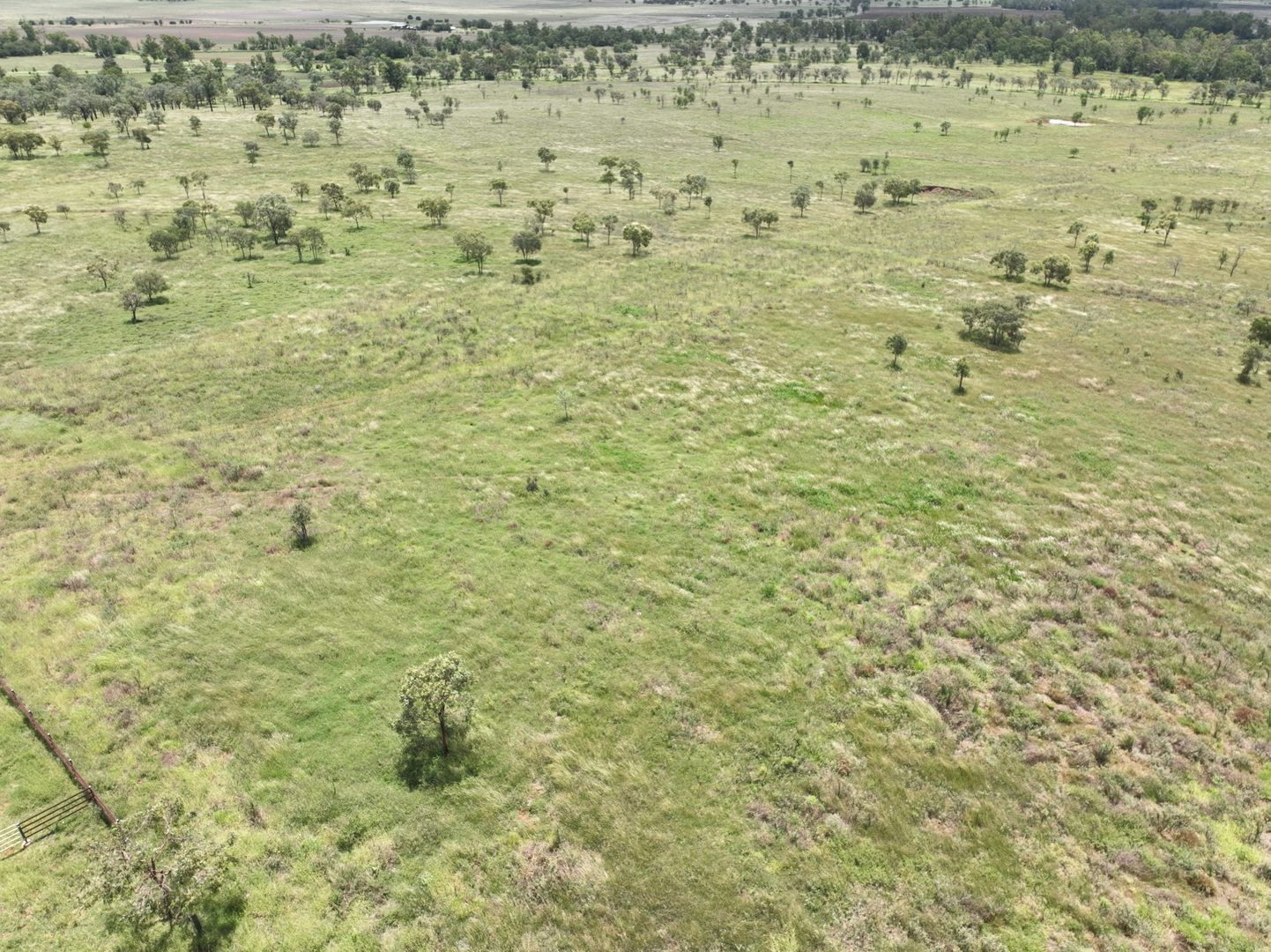 Thangool QLD 4716 - Specialist Farm for Sale - $2,600,000 | Domain