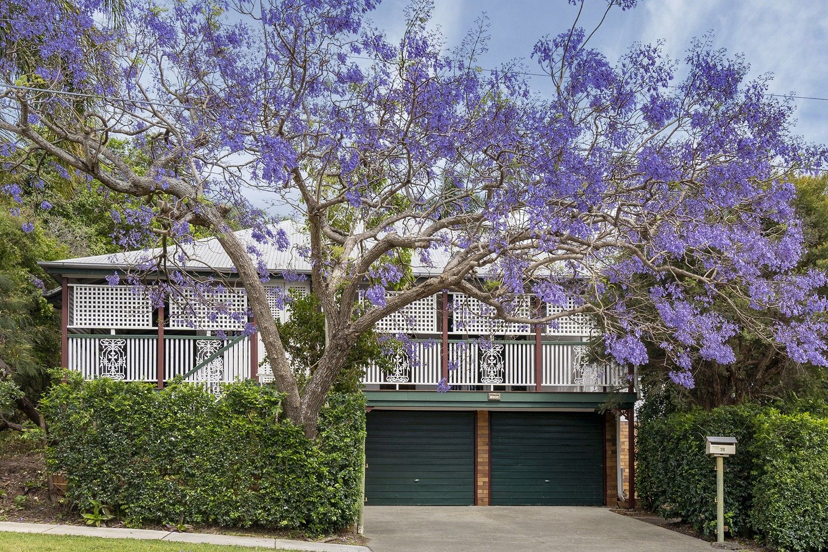 26 Thomas Street, Grange QLD 4051 - House For Rent - $700 | Domain