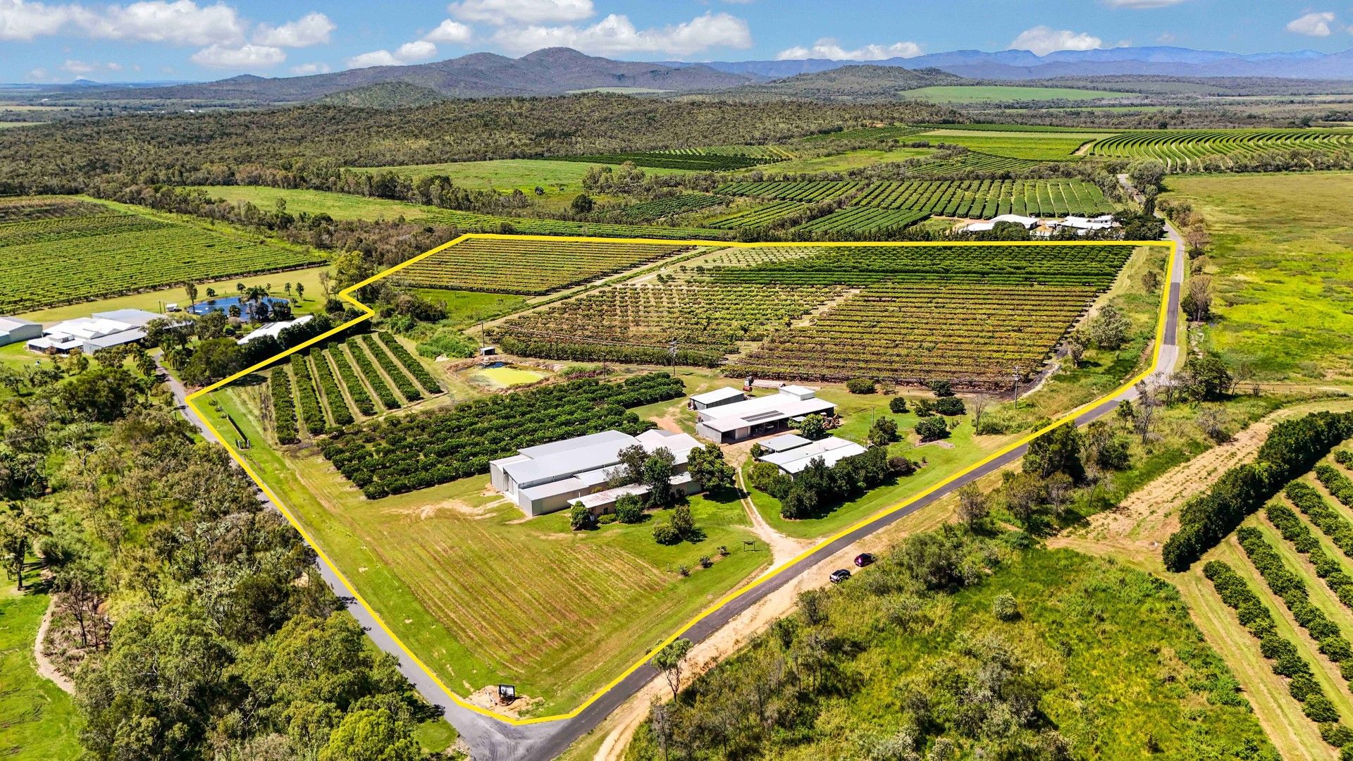 119 Mcleod Road, Mutchilba QLD 4872 - Specialist Farm for Sale