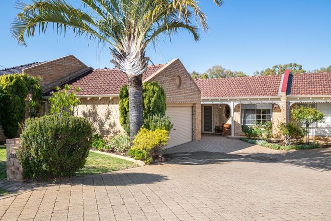 1279 Real Estate Properties for Sale in Balcatta, WA, 6021 | Domain