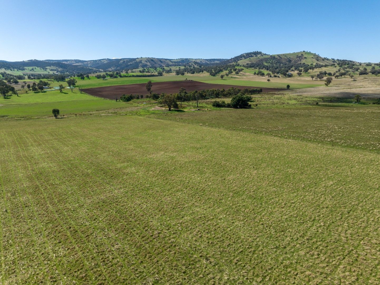 518 Oakhills Road, Nangus | Property History & Address Research | Domain