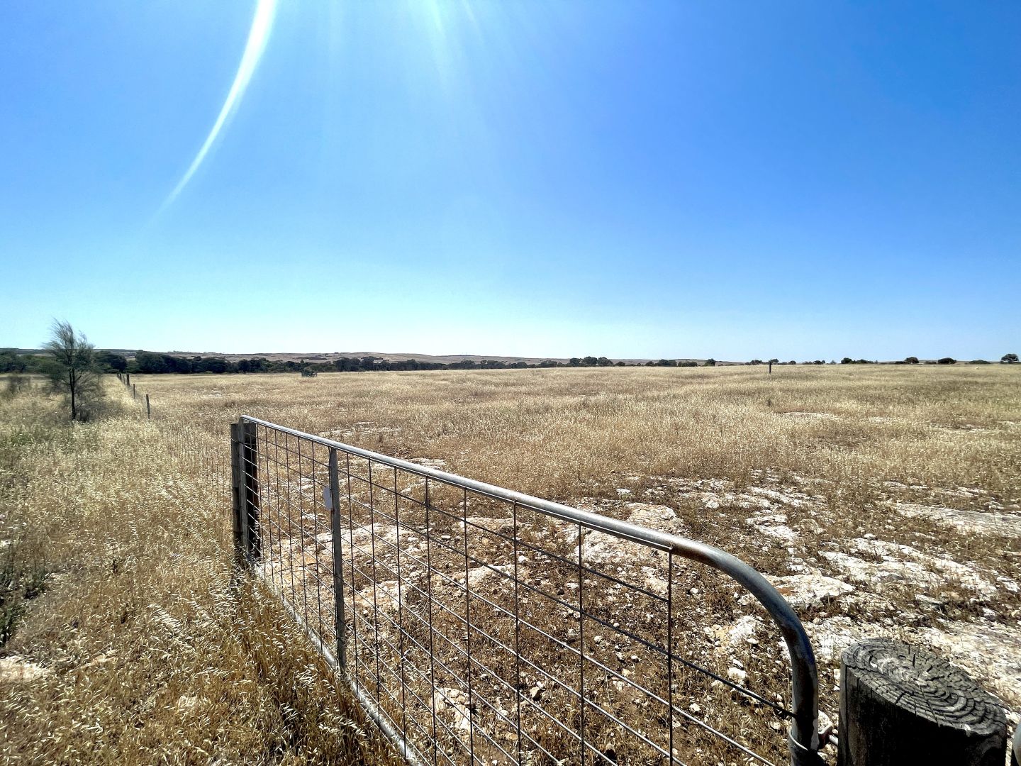 Sec. 227, 229 & 230 Bramfield, Elliston SA 5670 - Vacant Land for Sale