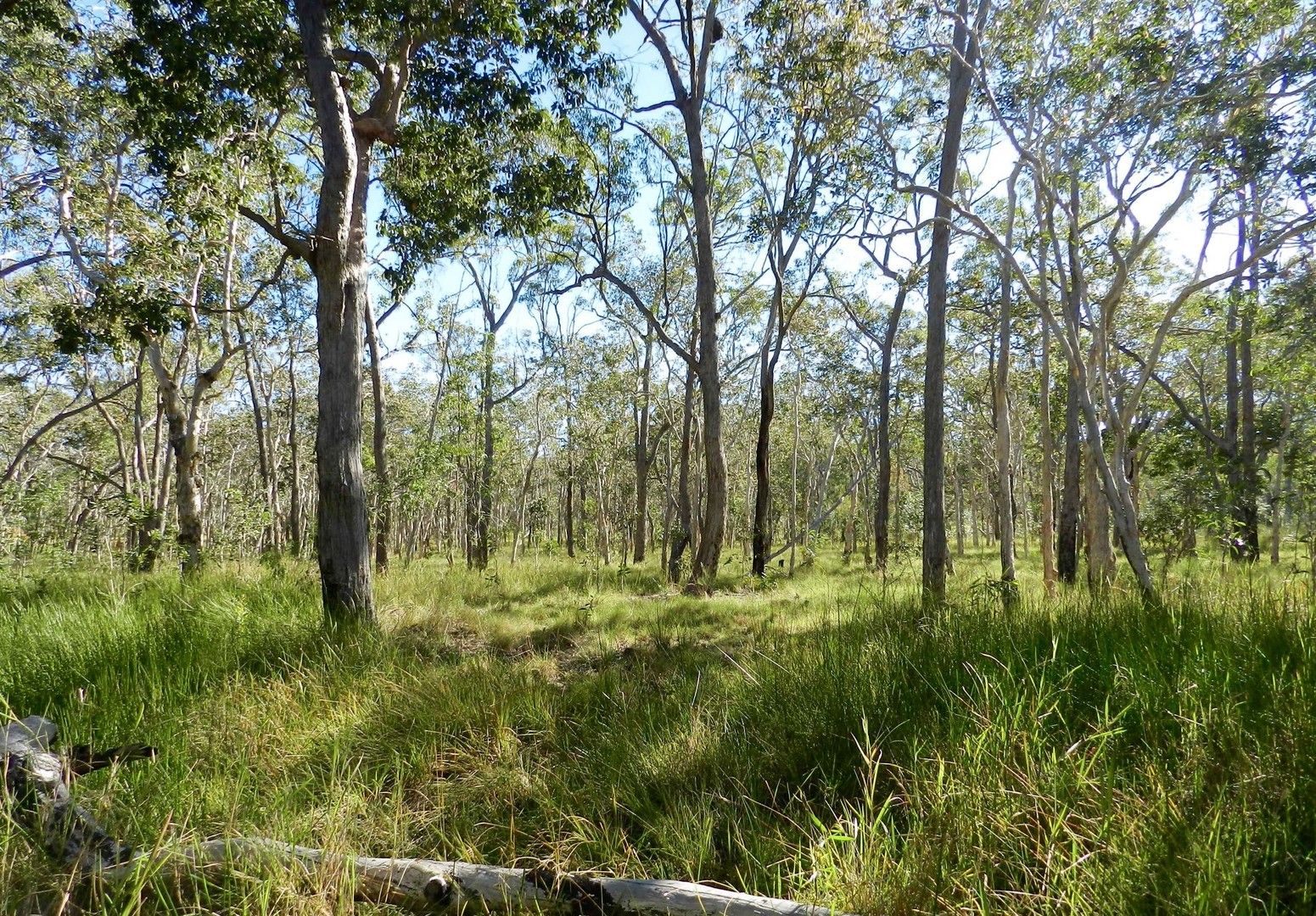 107 Range Road, Captain Creek QLD 4677 - Vacant Land for Sale - $399,000